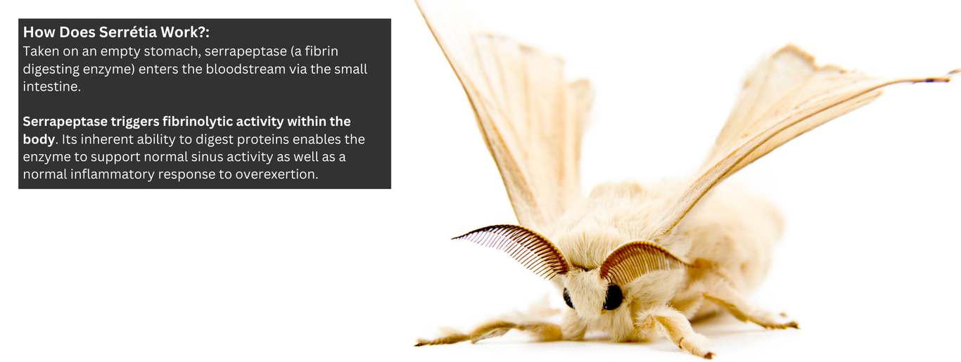 Serrétia – Pure Serrapeptase (180 capsules) – Safe Solutions