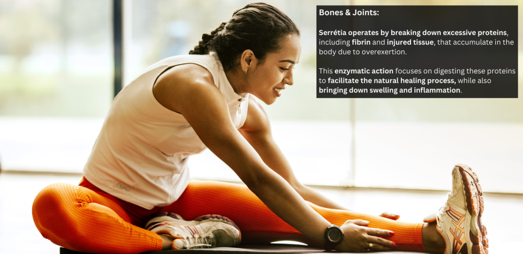 Serrétia – Pure Serrapeptase (180 capsules) – Safe Solutions