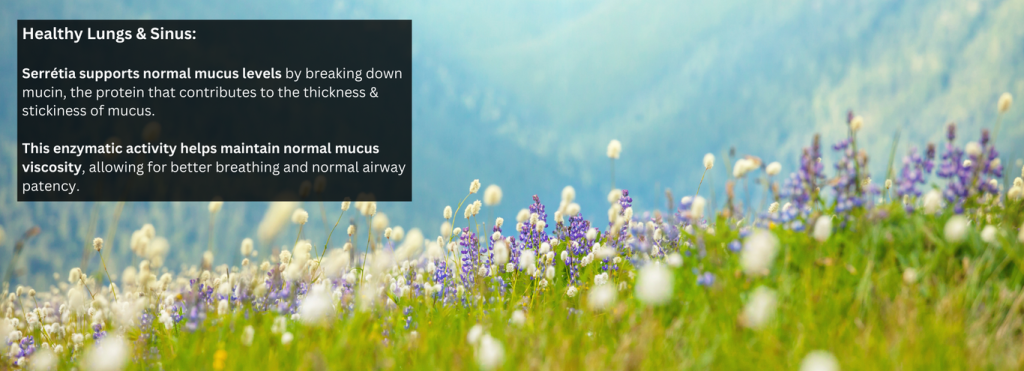 Serrétia – Pure Serrapeptase (180 capsules) – Safe Solutions