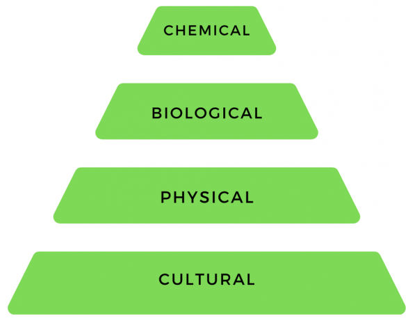 Spider Mites: In-depth IPM Overview – Safe Solutions